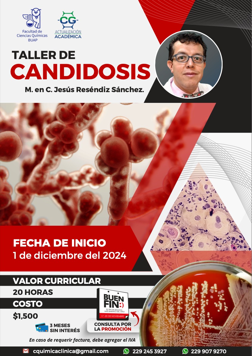 CG ACTUALIZACIÓN – Cursos & Diplomados